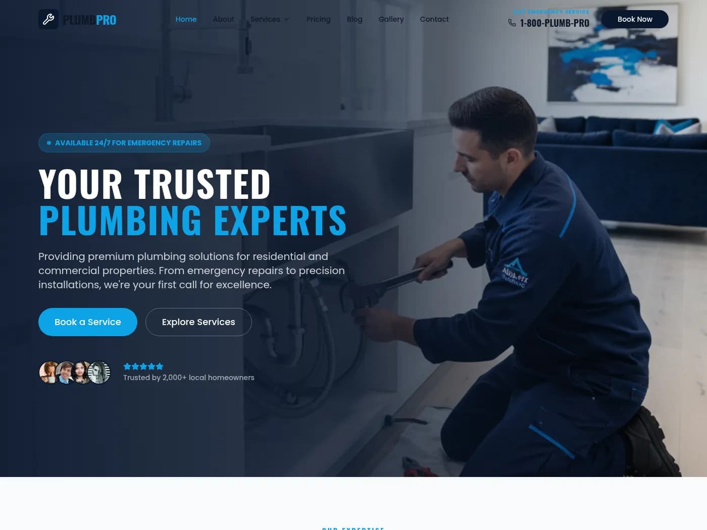 PlumbPro Web Presence